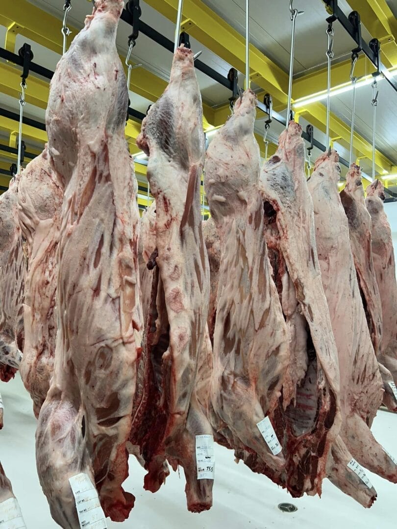 Custom Meat Processing in Oklahoma | One Sixty Processing
